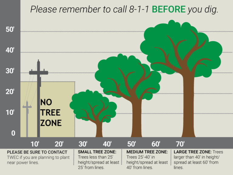Vegetation Management – Todd-Wadena Electric Cooperative