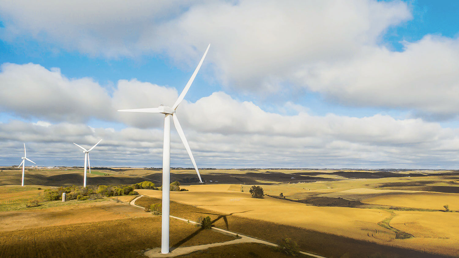 2021 – Todd-Wadena Electric Cooperative