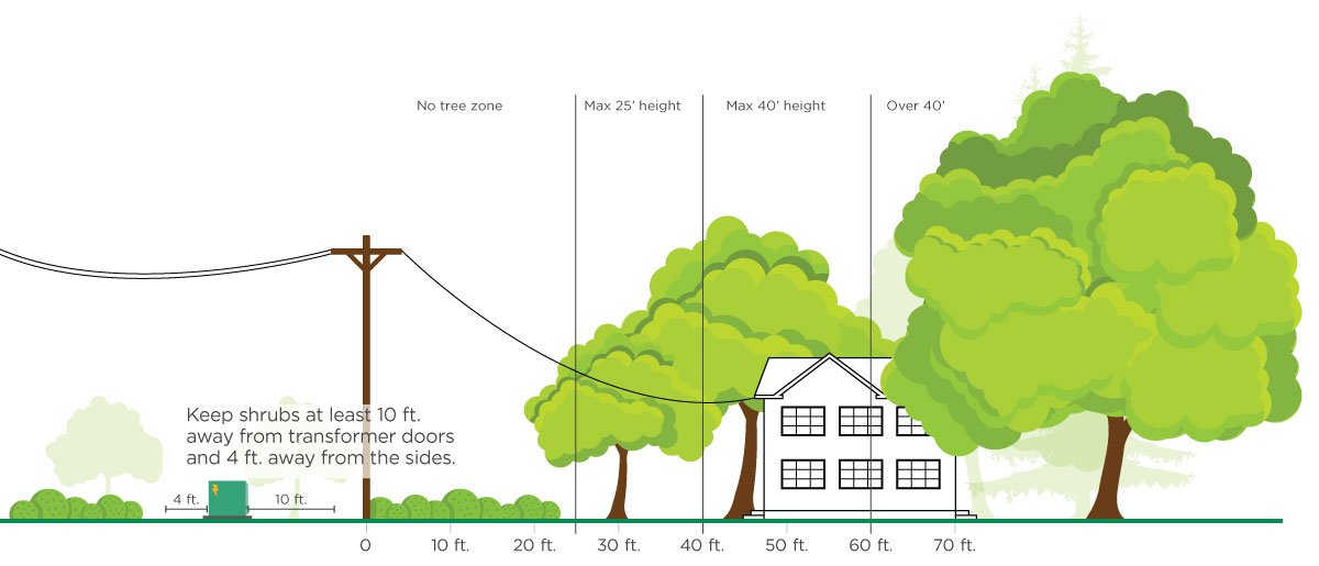 Tree Planting 101 – Todd-Wadena Electric Cooperative