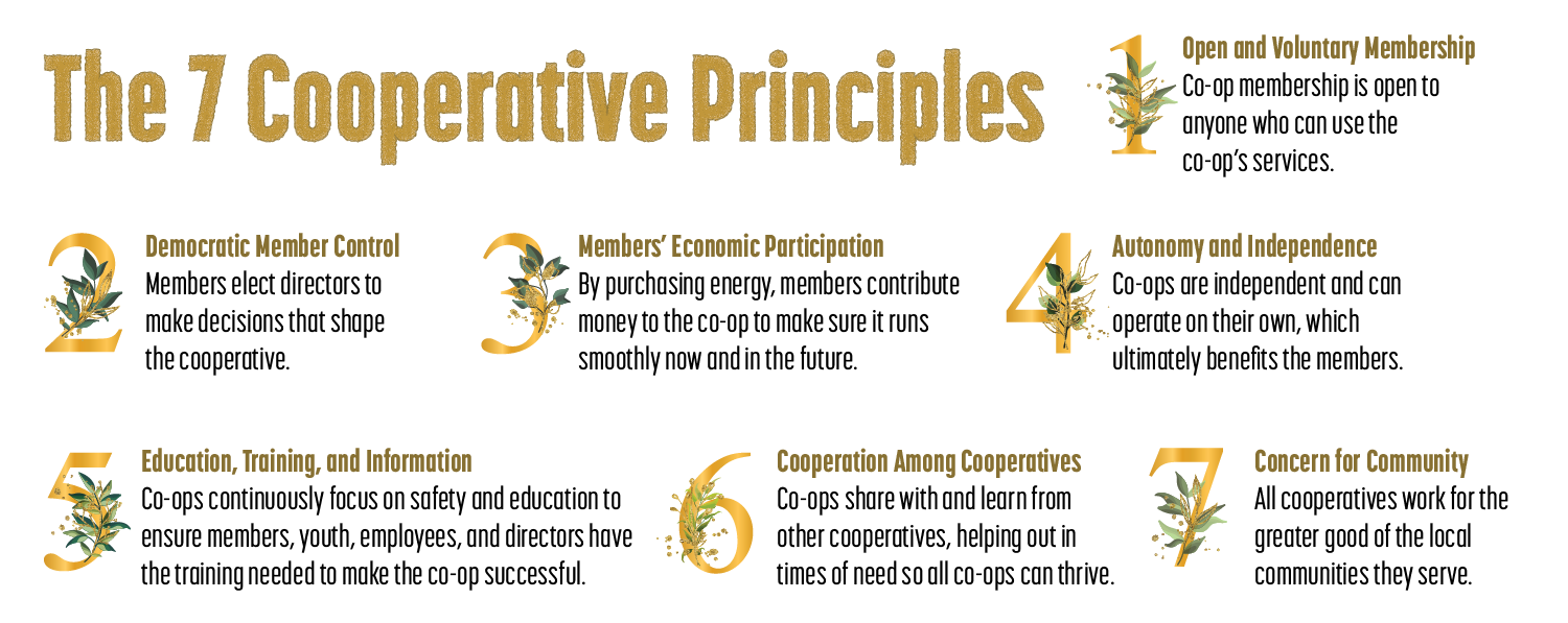 Powering Communities with Purpose – Todd-Wadena Electric Cooperative